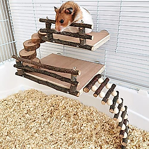 Hamster Climbing Toys, 2 Layer Wooden Activity Platform, Rat Toys, Rat Cage Accessories with Chewing Toys for Hamster Bear Squirrels Hedgehogs Parrots Climbing Ladder