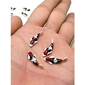 Lot of 12 Miniature Koi Fish Fairy Garden Supplies Animal Figurine Dollhouse Furniture GD#031