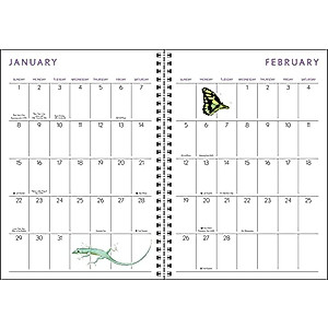 Marjolein Bastin Nature's Inspiration 12-Month 2023 Monthly/Weekly Planner Calen