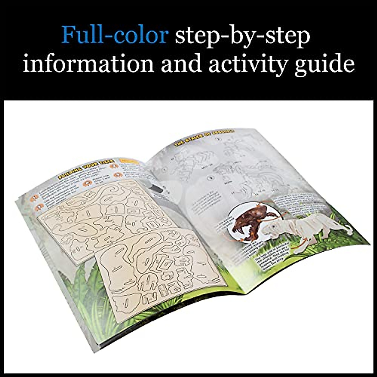 WILD ENVIRONMENTAL SCIENCE Extreme Big Cats of the World - For Ages 6+ - Create and Customize Models and Dioramas of Tigers, Snow Leopards and more - Study the Most Extreme Animals