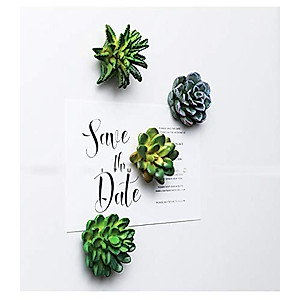 CoCoMe Funny 3D Resin Succulent Fridge Refrigerator Magnets, Set of 4