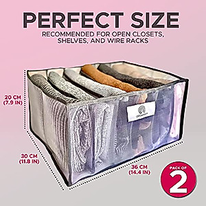 ORGANIDY Wardrobe Clothes Organizer for Underwear - Closet Organizers and Storage, Storage Drawers, and Organizer Bins - 6 Grids for Bras, Socks, and Jeans - 11.8" x 14.2" x 7.9", Clear Mesh 2-Pack
