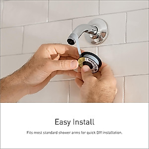 Moen 26100BRB Engage Magnetix Handheld Shower, Bronze Mediterranean