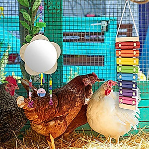 Viowey 2PCS Chicken Xylophone Toys, Chicken Mirror, Chicken Pecking Toy, Suspensible Wood Xylophone Toy with 8 Metal Keys for Hens Parrots