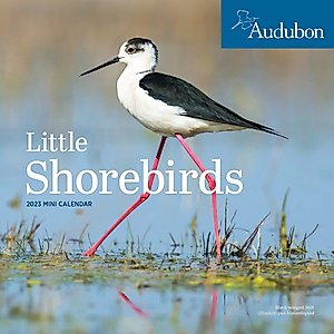 Audubon Little Shorebirds Mini Wall Calendar 2023: A Tribute to the Diversity of Shorebirds and the Fragile Ecosystems they Inhabit
