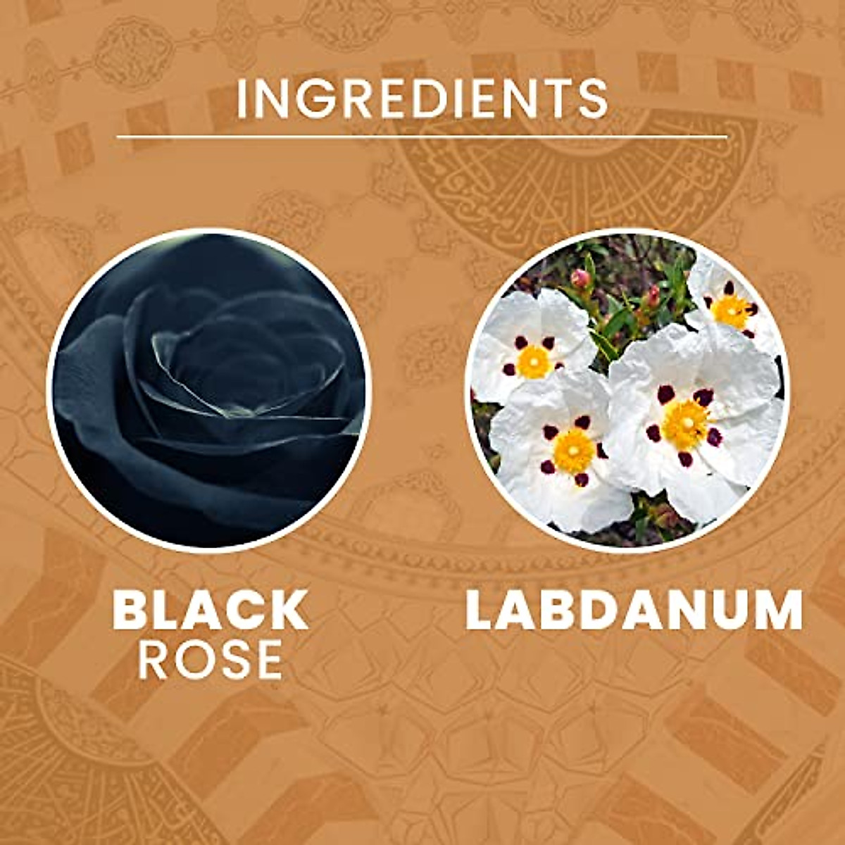 Tesori d'Oriente Perfumes for Women, Women’s Eau De Toilette Spray, Men’s Fragrances -100ml 3.38fl.oz [Italian Import]-(Byzantium)