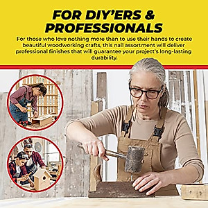 Qualihome Hardware Nail Assortment Kit, Includes Finish, Wire, Common, Brad and Picture Hanging Nails