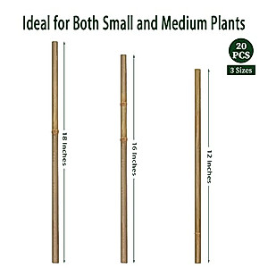 Plant Stakes,18 Inches Natural Garden Bamboo Sticks,BOVITRO 20Pcs Plant Support Stakes for Tomatoes,Beans,Vegetable and Potted Plants