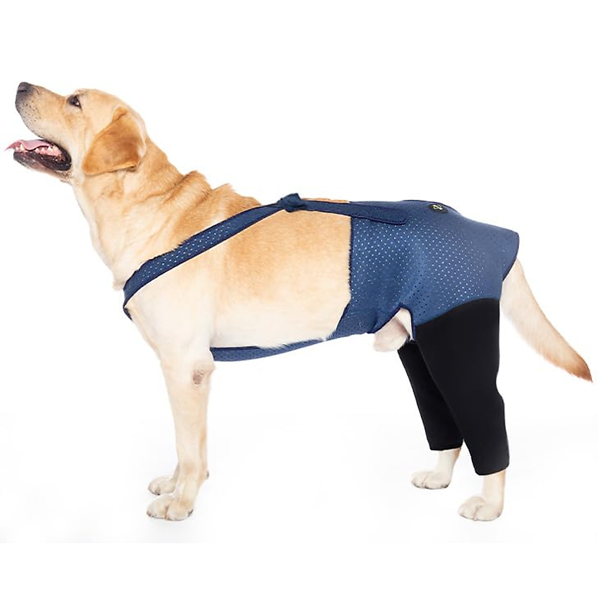 Coodeo Dog Recovery Suit, Cone Collar Alternative, Abrasion Resistant Dog Recovery Rear Sleeves, Washable 2.5mm Thick and Waterproof, Pet Wounds Prevent Licking, Biting (2XL, Blue)