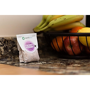 EarthKind Stay Away Rodent, Spider, Ant/Roach, Moth & Mosquito Whole Home Multipack (10-Pack, 2 of Each) - Effective Plant-Based Pest and Insect Repellants