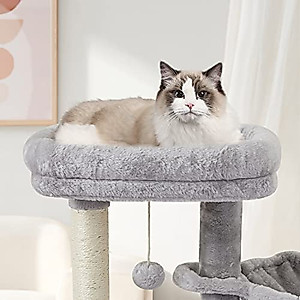 FISH&NAP US16H Cute Cat Tree Cat Tower for Indoor Cat Condo Sisal Scratching Posts with Jump Platform Cat Furniture Activity Center Play House Grey