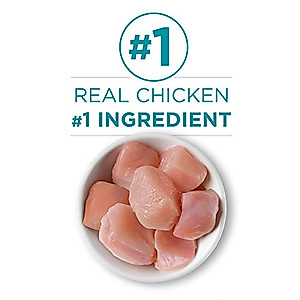 Purina ONE Natural, Grain Free Wet Cat Food Pate, Chicken Recipe - (24) 3 oz. Pull-Top Cans