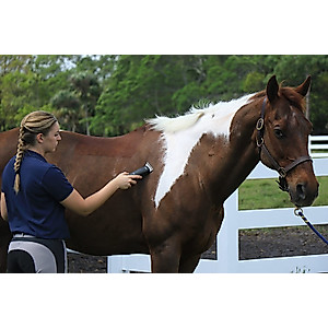 Oster Pro 3000i Cordless Lithium Ion Animal Pet Clipper with Size 10 CryogenX Blade 10-Piece Stainless Steel Pet Clipper Guide Comb Kit