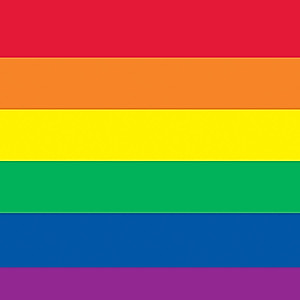 Rainbow Tablecover Party Accessory (1 Count)