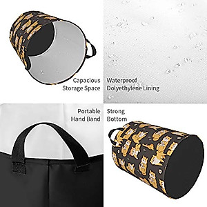 FeHuew Cute Dogs Shiba Inu Collapsible Laundry Basket with Handle Waterproof Fabric Hamper Laundry Storage Baskets Organizer Large Bins for Dirty Clothes,toys,Bathroom