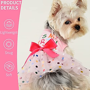 Dog Birthday Dress, It's My Birthday Pet Dog Outfit, Polka Dots Lace Tutu Dog Clothes for Small Dogs Girl, Cat Apparel, Pink, X-Small
