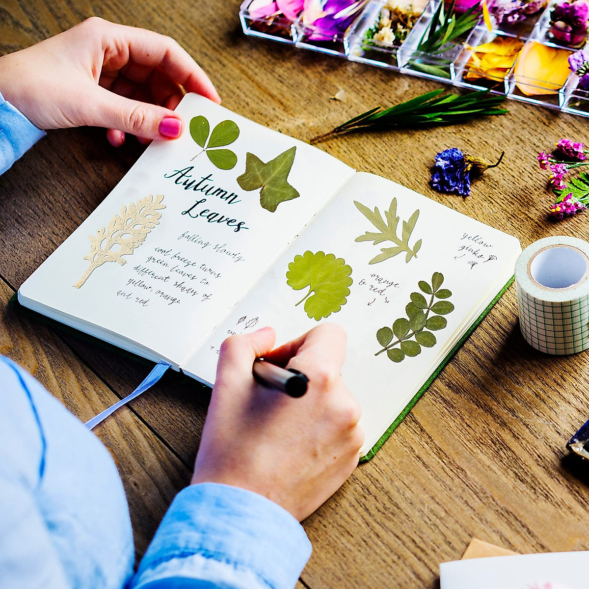 TimTin 84 Pieces Dried Pressed Leaves Dried Flowers Resin Dried Leaves Resin Mini Dried Flowers Crafts Dried Greenery Assorted Dried Leaves Art DIY Handmade Bookmarks 4 Bags (Vivid Style)