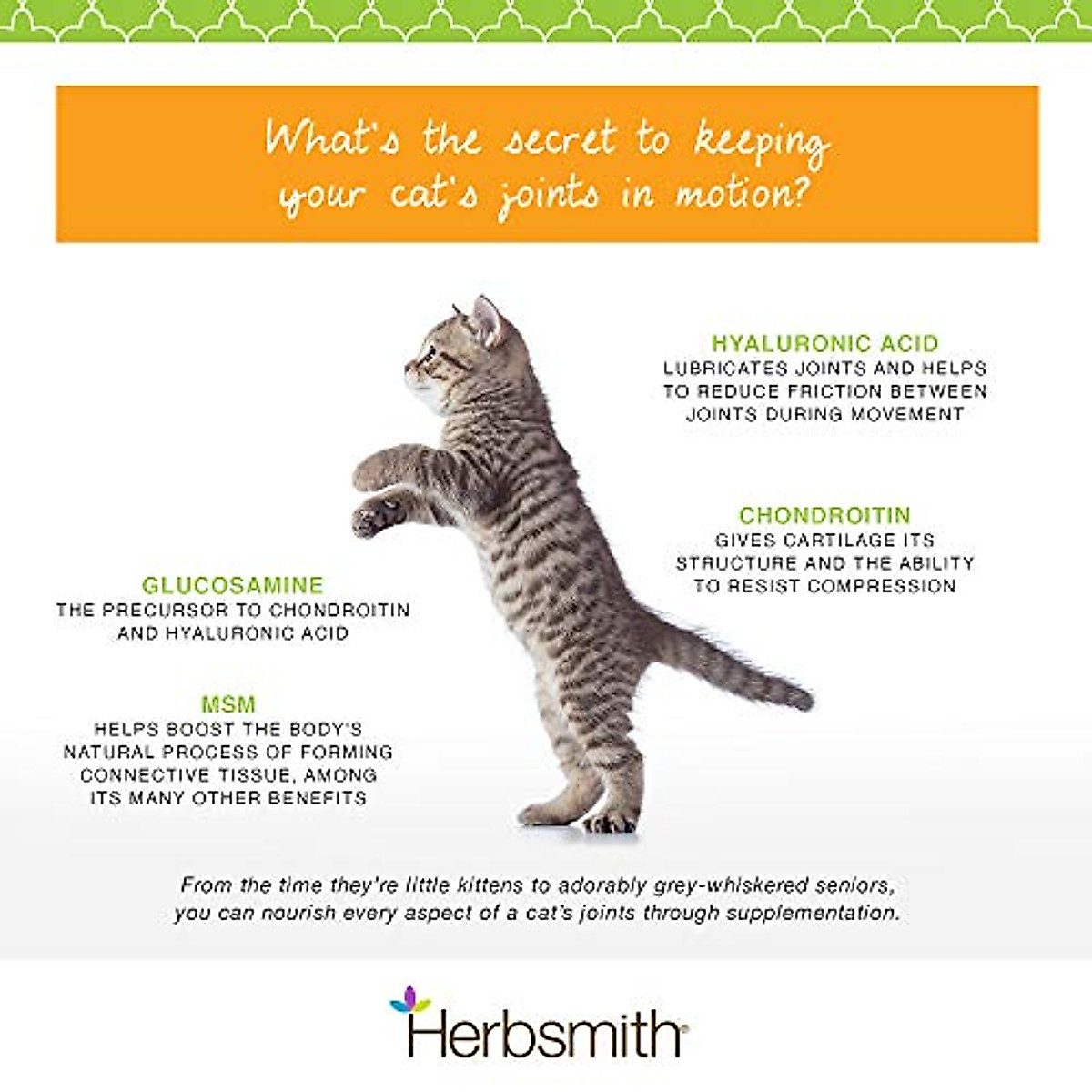 Herbsmith Sound Kitty – 5-in-1 Joint Care for Cats with Chondroitin, Glucosamine & MSM – 75g