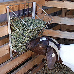 Rugged Ranch SGGBF Wall Mounted Rustproof Galvanized Steel Sheep, Goat, Horse, Rabbit, Guinea Pig, and Cow Livestock Hay Feeder Rack, Silver (2 Pack)