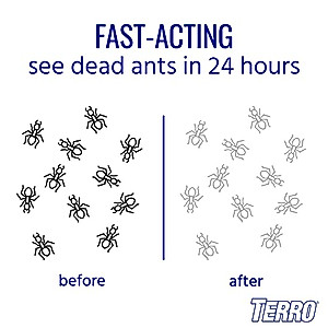 Terro T708 Fire Ant Bait-2 lb, Orange