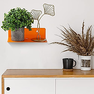 4 Pack Acrylic Floating Wall Shelves 9 Inch Adhesive Shelf Mounted Display Book Shelf for Pop Figure Plant, Speaker, Acrylic Shelve for Bathroom, Bedroom, Gaming Room, Living Room (Green, Orange)