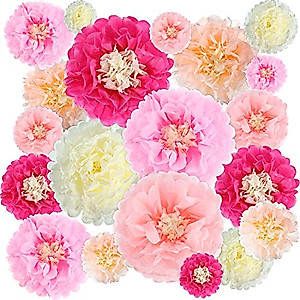 Gejoy 20 Pieces Paper Flower Tissue Paper Chrysanth Flowers DIY Crafting for Wedding Backdrop Nursery Wall Decoration (Color Set 1)