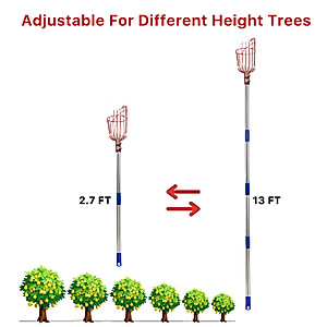 Fruit Picker Tool, 13 Ft Extendable Pole with Basket for Fruit Picker, High Reach Stainless Steel Fruit Picking Tool for Apple, Orange, Citrus, Pear, Mango from Trees, Easy Install and High Reach
