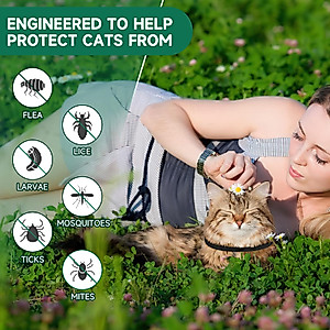 4 Pack Flea Collar for Cats, Cat Flea and Tick Treatment, 8 Months Protection Flea and Tick Prevention for Cats, Waterproof Cat Flea Collar, Adjustable Cat Flea and Tick Collar for Cats Kittens, Black