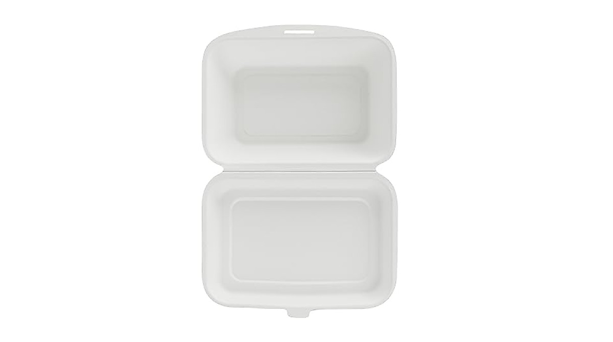 Eco-Friendly 20oz Clamshell Containers - 100 Pack