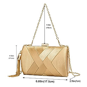 Women's Elegant Tassel Pendant Silk Evening Bag Clutch Purse for Bride Wedding Prom Night Out Party (GOLD)