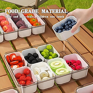 Snackle Portable Charcuterie Container, Upgraded Divided Serving Tray With Lid and Handle, Disposable Fork and Spoon Storage Box for Party, Travel, Kitchen Seasoning Organizer