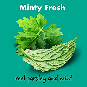 Chewsday Extra-Small Minty Fresh Daily Dental Dog Chews, Made in The USA, Natural Highly-Digestible Oral Health Treats for Healthy Gums and Teeth - 28 Count