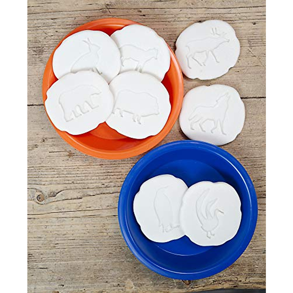 Yellow Door Let's Investigate Polar Footprints, Set of 8