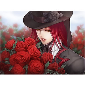 Will O' Wisp DS [Limited Edition] [Japan Import]