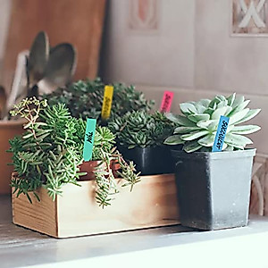 Foraineam 600 Pcs 4 Inches Plant Labels 6 Colors Plastic Waterproof Plant Tags Nursery Garden Labels Pot Marker Garden Stake Tags