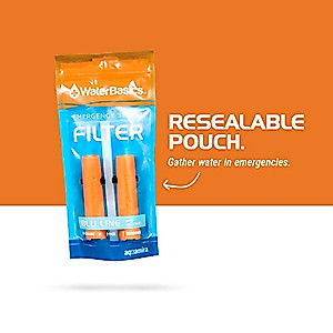 WaterBasics Emergency Straw Filter 2pk. (BLU-I-30)