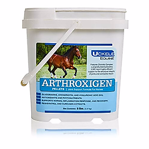 Uckele Arthroxigen Pellets - Joint Supplement Formula for Horses - Eqiune Vitamin & Mineral Supplement - Competition Ready - 5 Pound (lb)