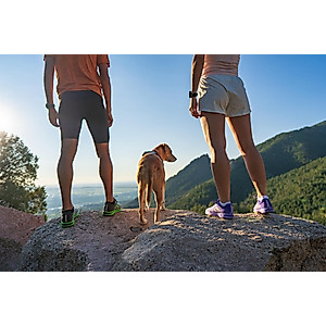 Swiftwick- ASPIRE ZERO Tab Running Socks, Cycling Socks, Lightweight No-Show (Pewter, Large)