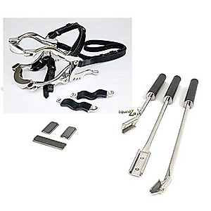 Equine Dental Kit Hau'sman Speculum and 3 Floats with Blades.