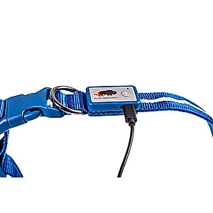 Blazin LED Light Up Dog Collar - 1,000 Feet of Visibility - Brightest for Night Safety - USB Rechargeable Waterproof Dog Collar Light