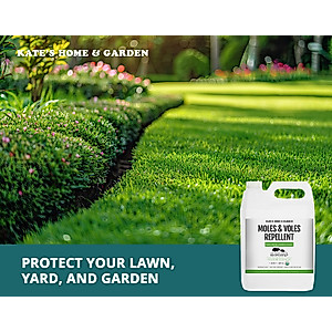 Mole & Vole Repellent for Lawns - Organic Castor Oil (128oz - 1 Gallon) - Kate's Home & Garden. Pet Safe & Non-Toxic. Pure Organic Castor Oil to Repel Moles, Voles, Rodents & Gophers Outdoor