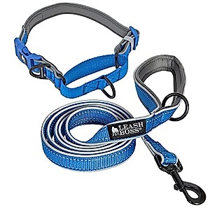 Leashboss Reflective Martingale Collar and 6 Ft Leash with Padded Handle, Medium Collar 14.5-17" Neck, Blue