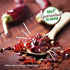 Back to the Roots Non-GMO Chili Planter, Grow Organic Chili Peppers Year Round, Windowsill Grow Kit, Top Gardening Gift, Holiday Gift, & Unique Gift