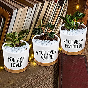 Birthday Gifts for Women,Bestfriend Gifts for Women,Unique Gift Ideas for Birthday,Inspirational Gifts for Women,Graduation Gifts, Plastic Succulent Pots Gifts with Gift Boxed(You are Loved)