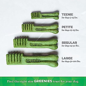 Gn Flavors Blueberry 12oz Teenie 43ct