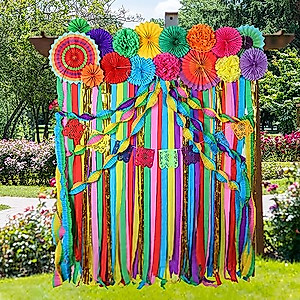 TaoBary Mexican Paper Flowers Mexican Party Decorations Ruffled Streamers Backdrop Foil Curtain Papel Picado Banner Mexico Fiesta Party Decorations for Cinco De Mayo Party Wedding (Fan Flower)