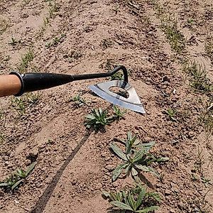 PINTLE Garden Hoe - All-Steel Hardened Hollow Hoe for Weeding, Garden Edger Weeder, Easy Weeding and Soil Loosening, Weeding Hoe Garden Tool, Durable and Efficient Hand Tool