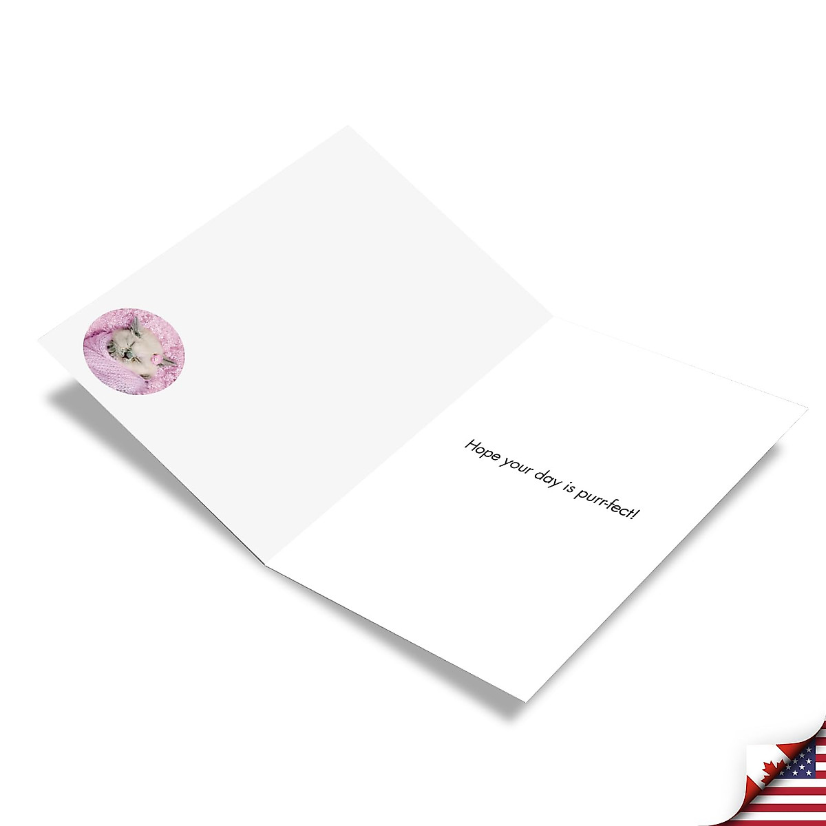 The Best Card Company Birthday Greeting Card with 5 x 7 Inch Envelope (1 Card) Bday Fluffy Furballs C7168ABDG