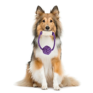 Crazy Tails Dog Chew Rope Toy for All Puppy Breeds Toys for Teething Small Dogs-Ring Ball with Bone