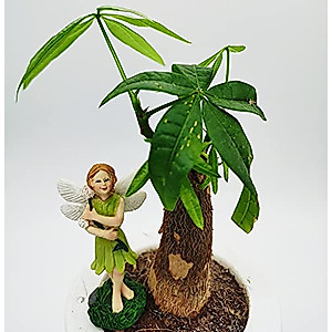 JIUMO Fairy Garden Fairies Outdoor Miniature Garden Fairy Set of 2 Boy Fairies Figurines Small Little Tiny Miniature Forest Fairies Ornaments Fairy Garden Accessories